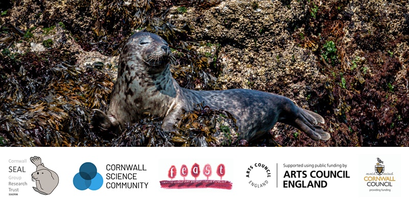 Our Iconic Seals – Think Seal! | Sue Sayer – Cornwall Science Community
